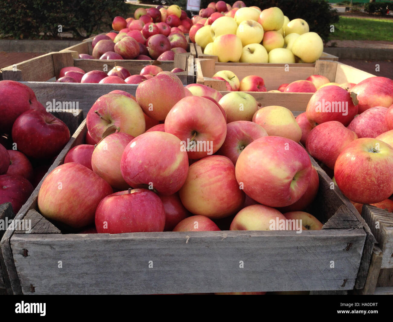 The USDA works to improve agricultural practices, enhance environmental ...