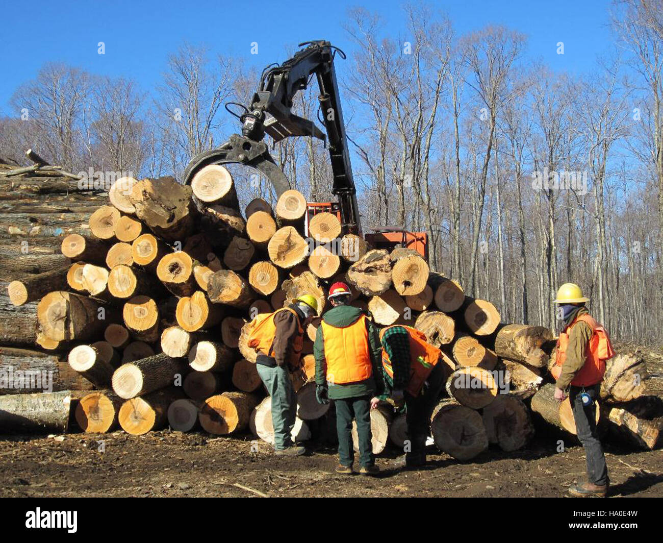 The Forest Service's Integrated Resource Project focuses on sustainable ...