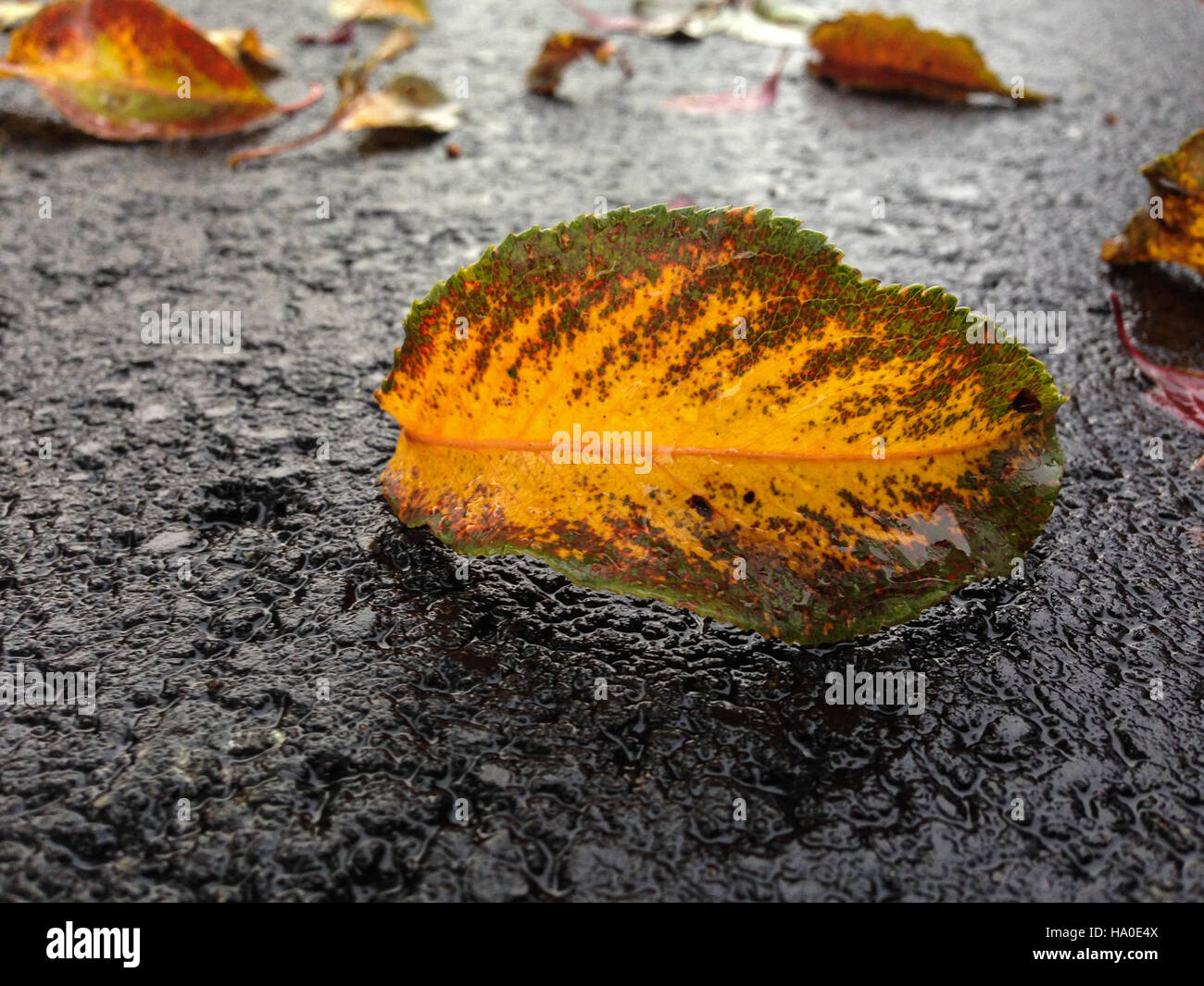 This photo shows a fall/winter scene near the U.S. Department of ...