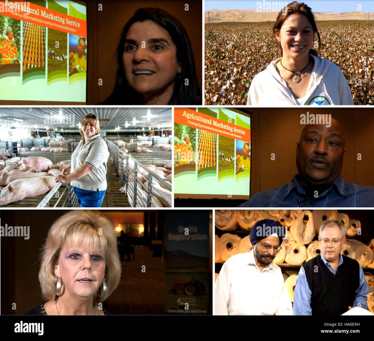 Nature diversity collage hi-res stock photography and images - Alamy