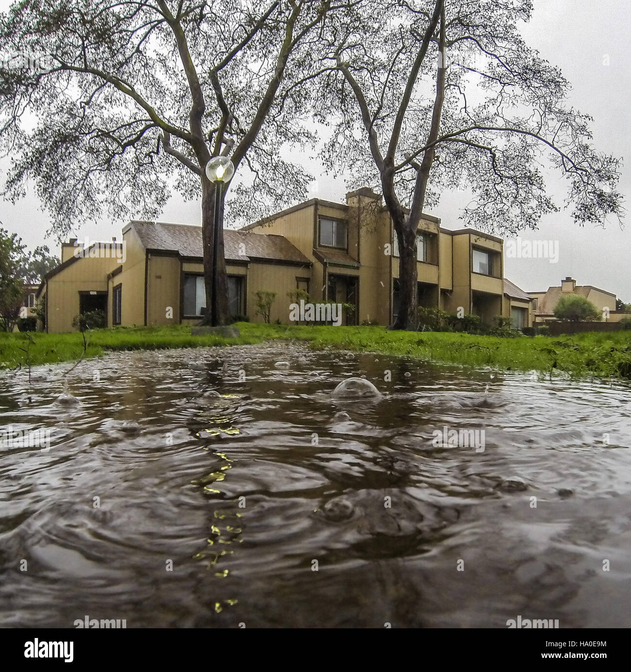 Stormwater education hi-res stock photography and images - Alamy