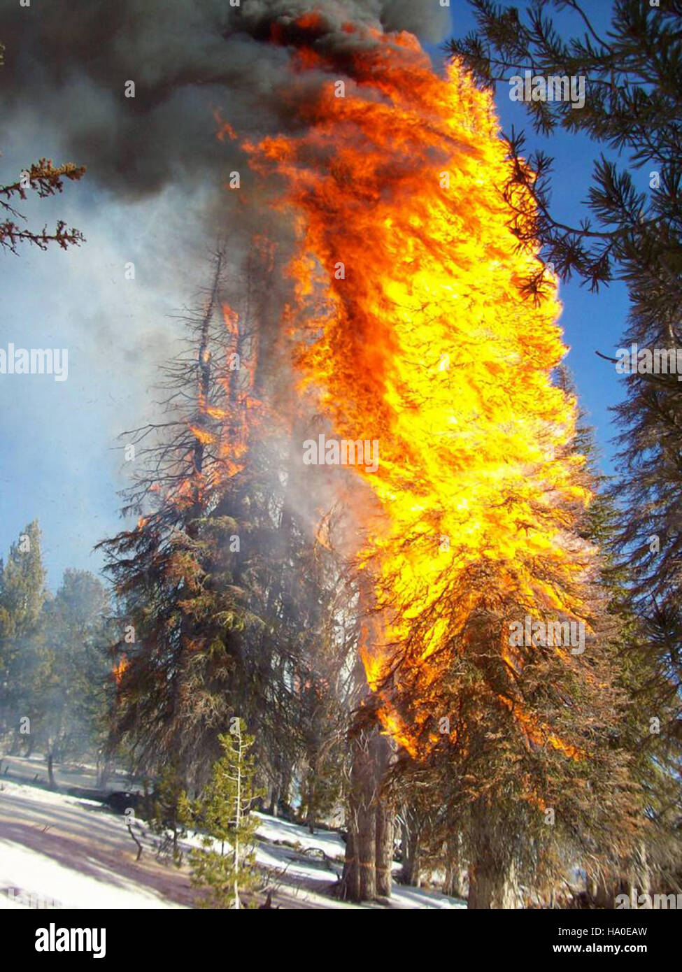 On ground fire burns hi-res stock photography and images - Alamy