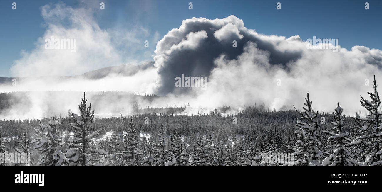 Steam rises from the Norris Geyser Basin in Yellowstone National Park ...