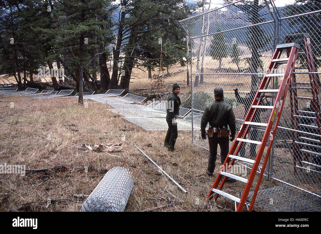 The Crystal Bench, part of the wolf enclosure at Yellowstone National ...