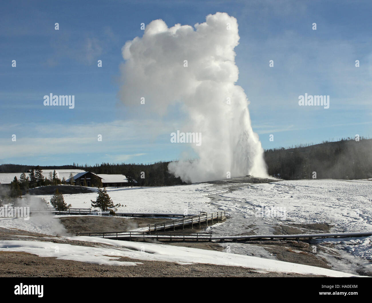 Old Faithful Geyser, located in Yellowstone National Park, is one of ...