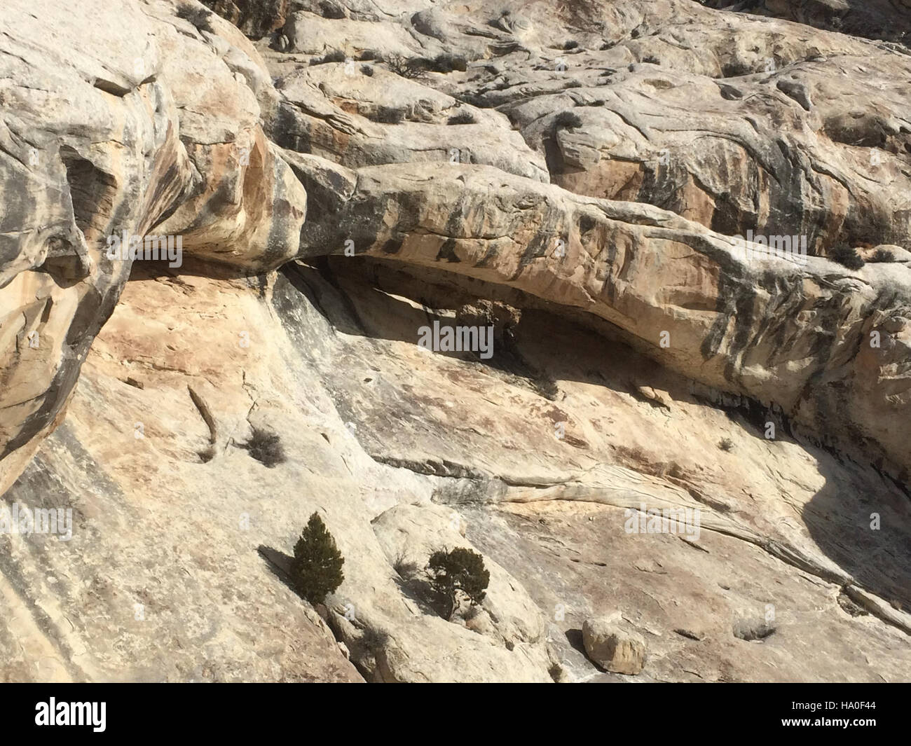 Split Mountain in Dinosaur National Monument features an impressive ...