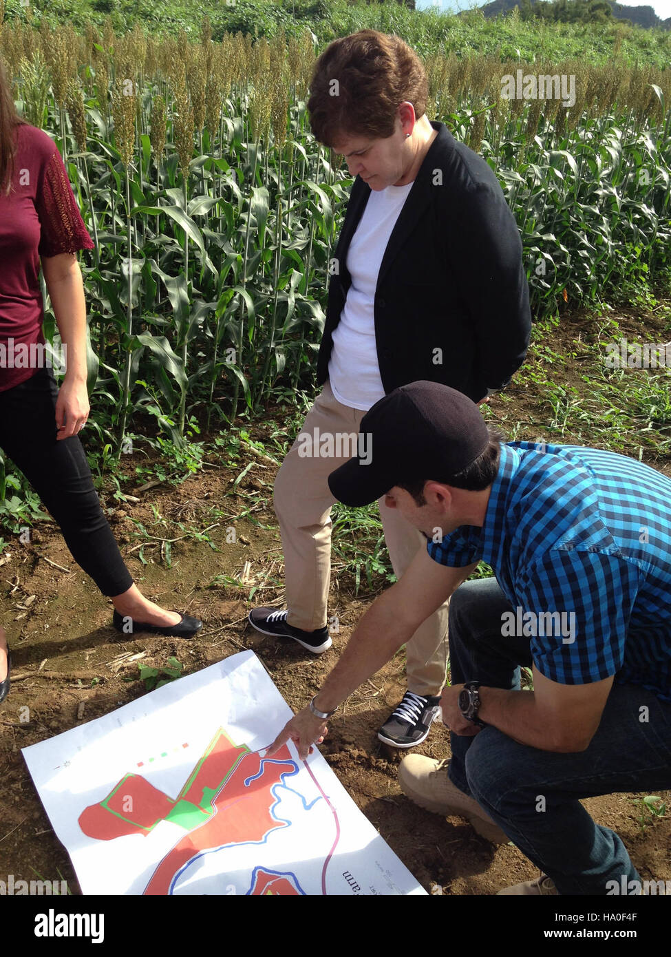 The image highlights U.S. Department of Agriculture (USDA) efforts to ...