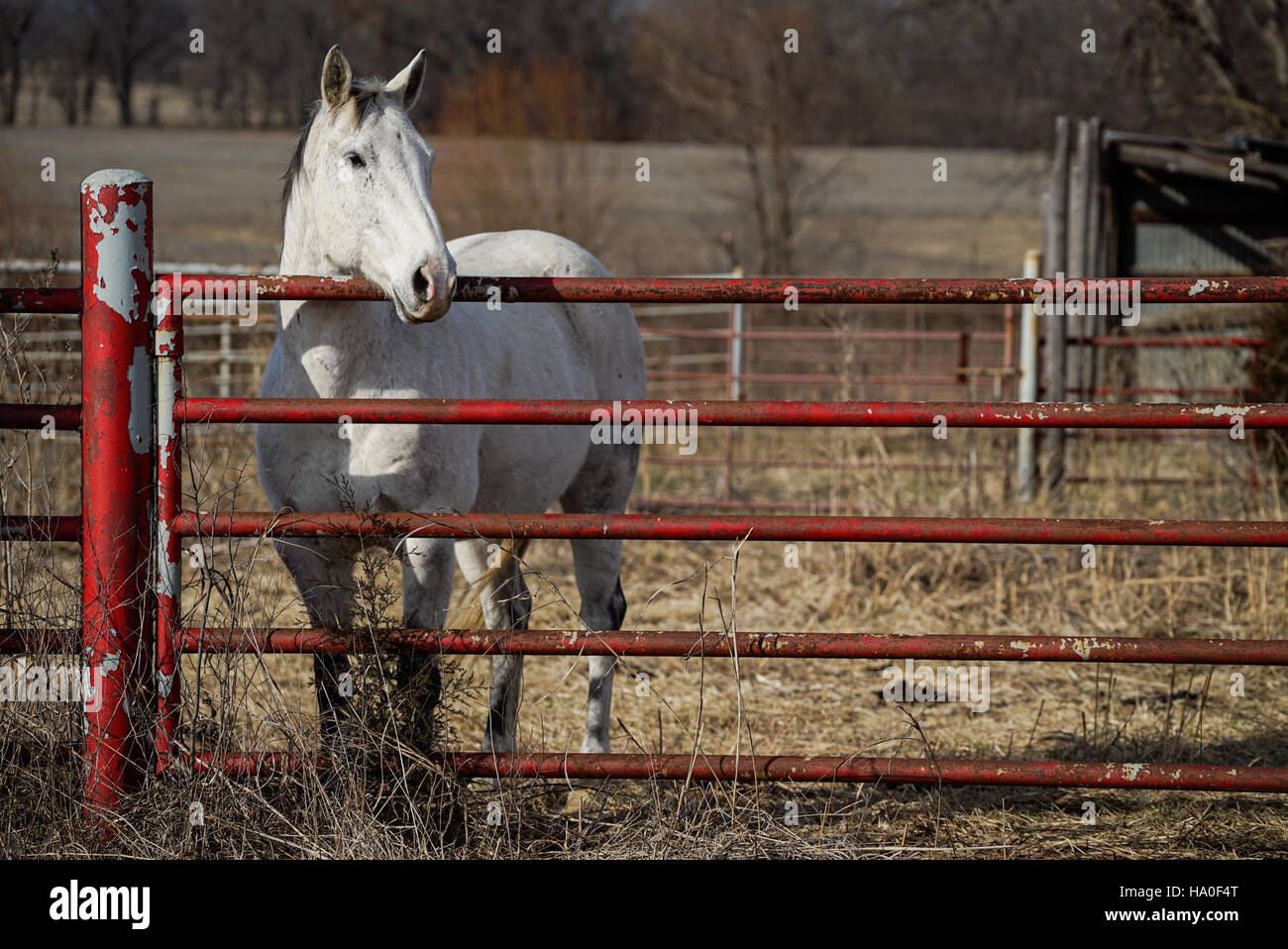 Choctaw nation agriculture hi-res stock photography and images - Alamy