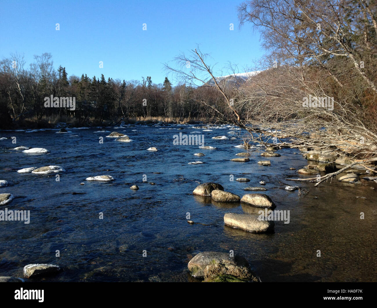 The riffles area of Brooks River in Katmai National Park, a key habitat ...