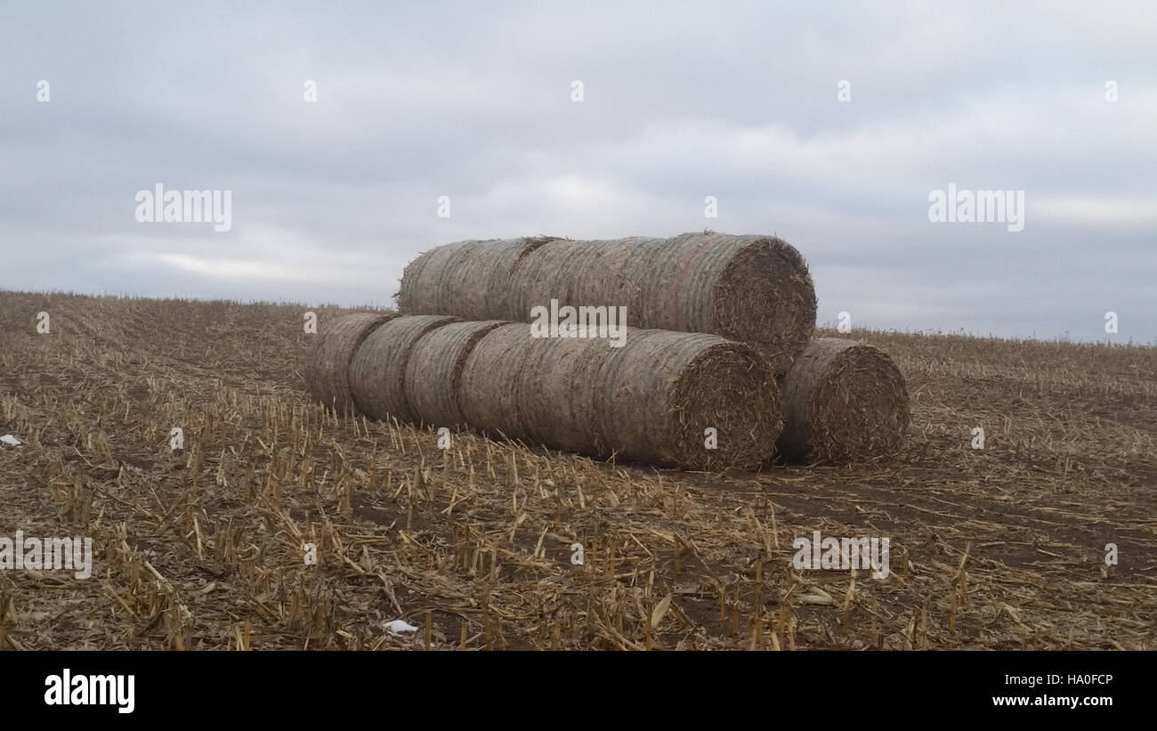 Hay bales on agricultural hi-res stock photography and images - Alamy