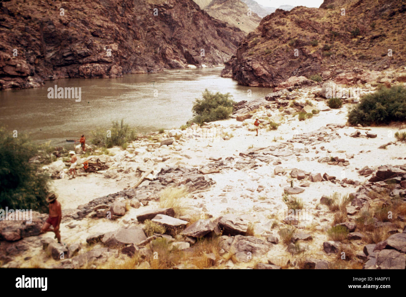 Habitat inventory hi-res stock photography and images - Alamy