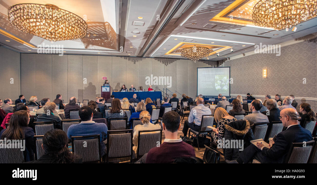 The 2015 Agricultural Outlook Forum focused on key issues like bee ...