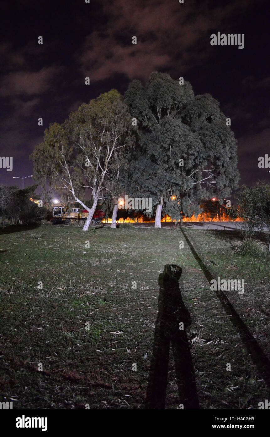 Nature photography out in the open space Stock Photo - Alamy