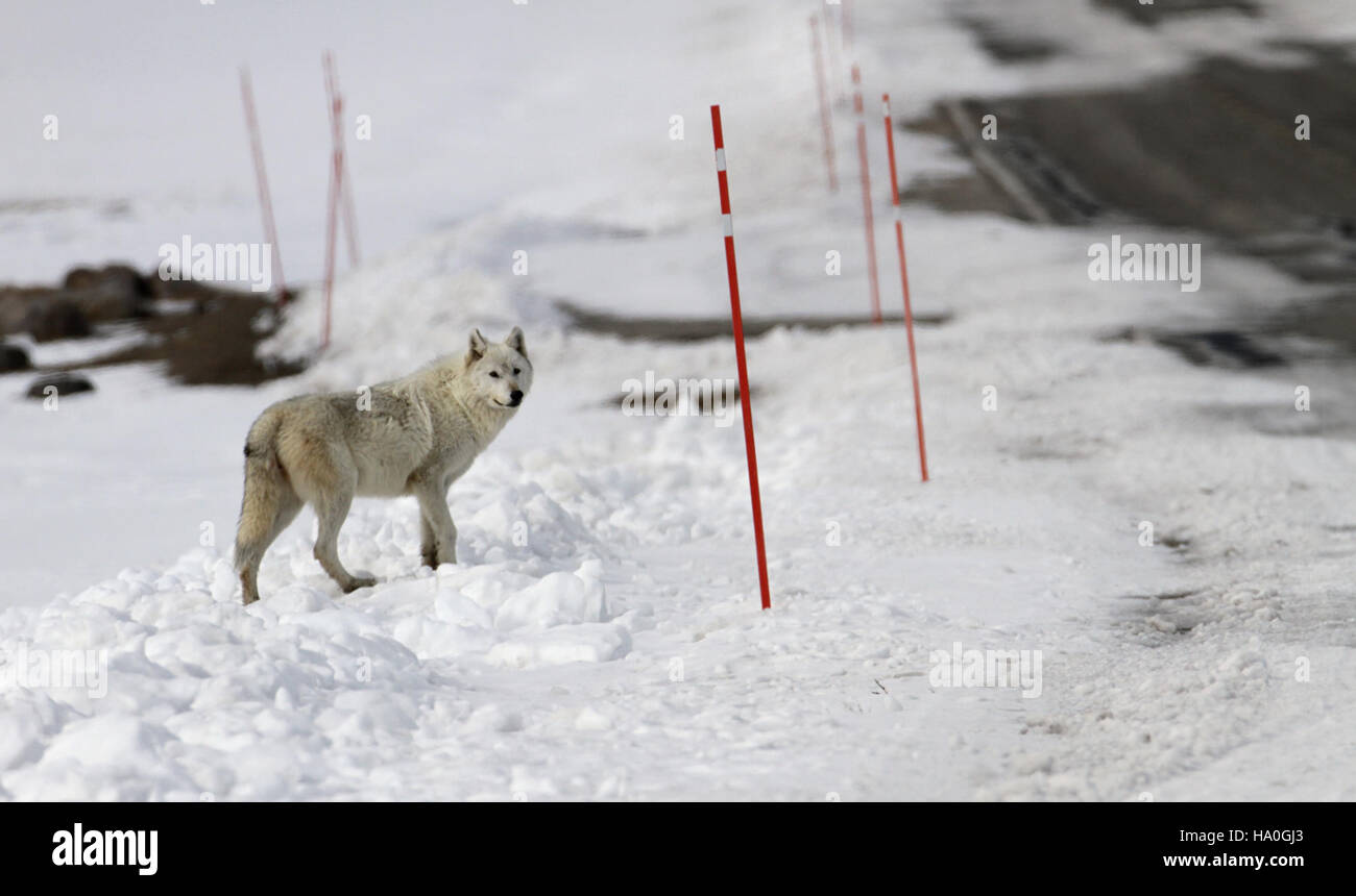 Alpha natural resources hi-res stock photography and images - Alamy