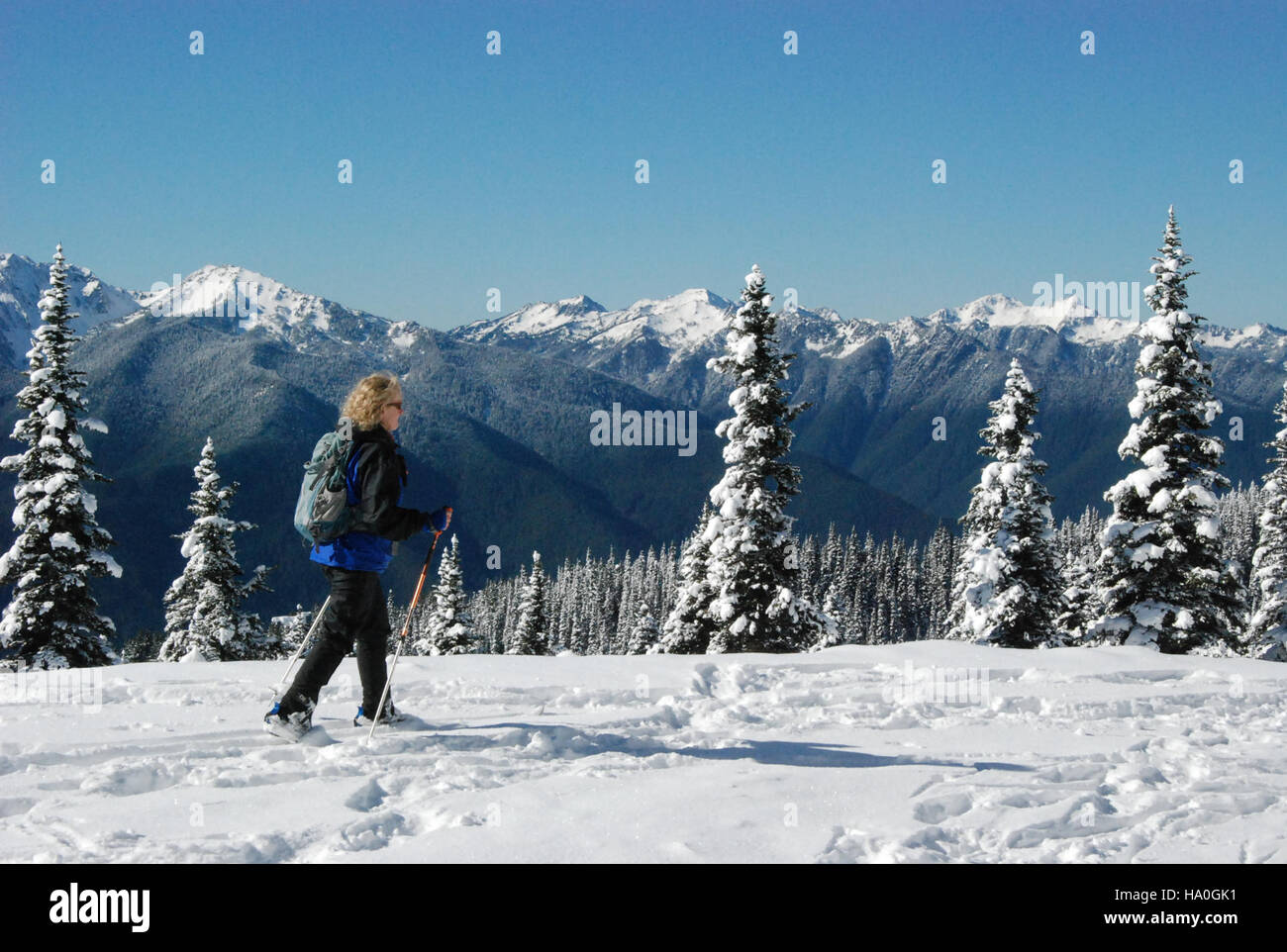 Cross-country skiing at Hurricane Ridge offers visitors the chance to ...
