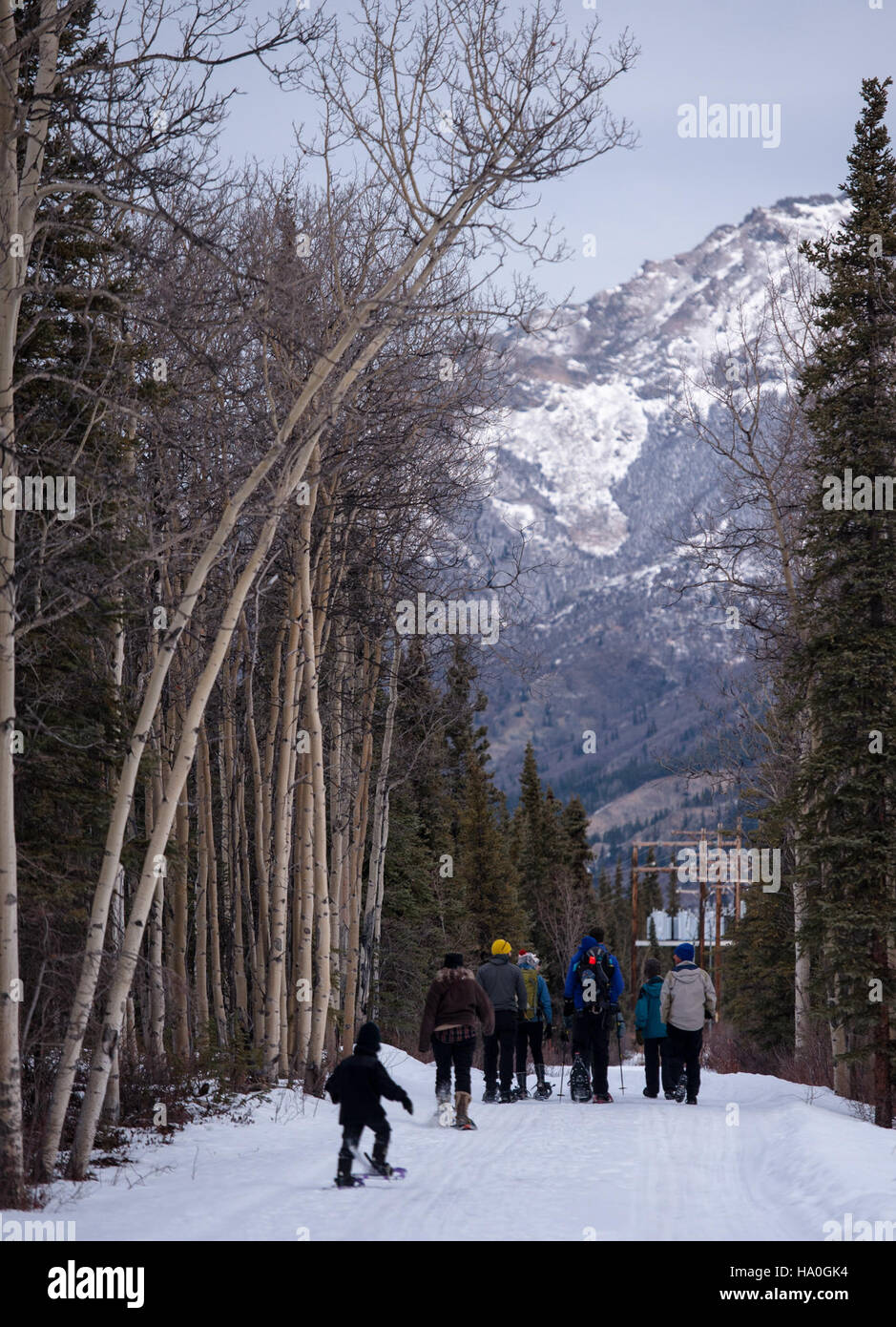 Visitors enjoy snowshoeing in Denali National Park, experiencing the ...
