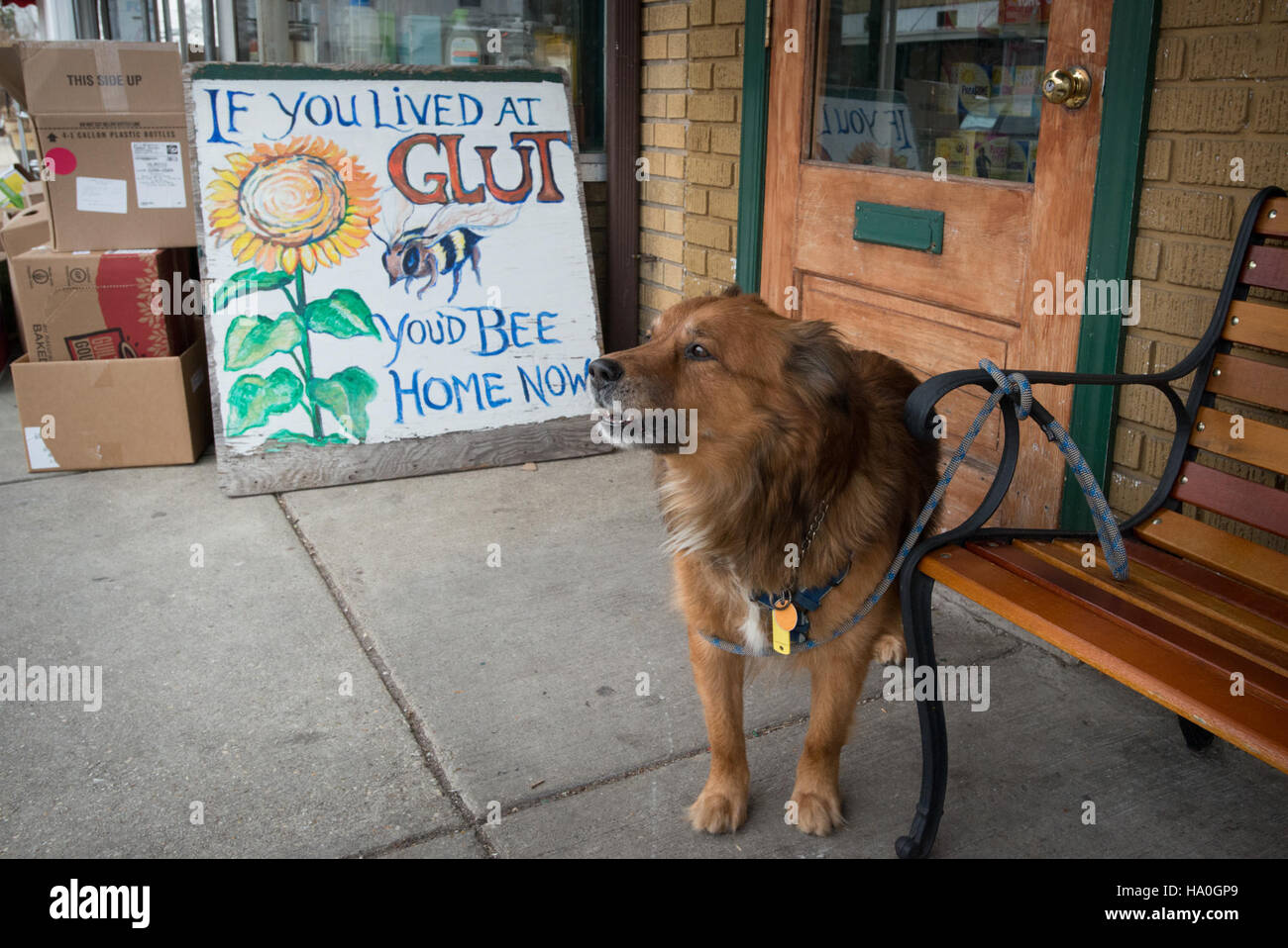 The USDA’s Rural Development program supports cooperative initiatives ...