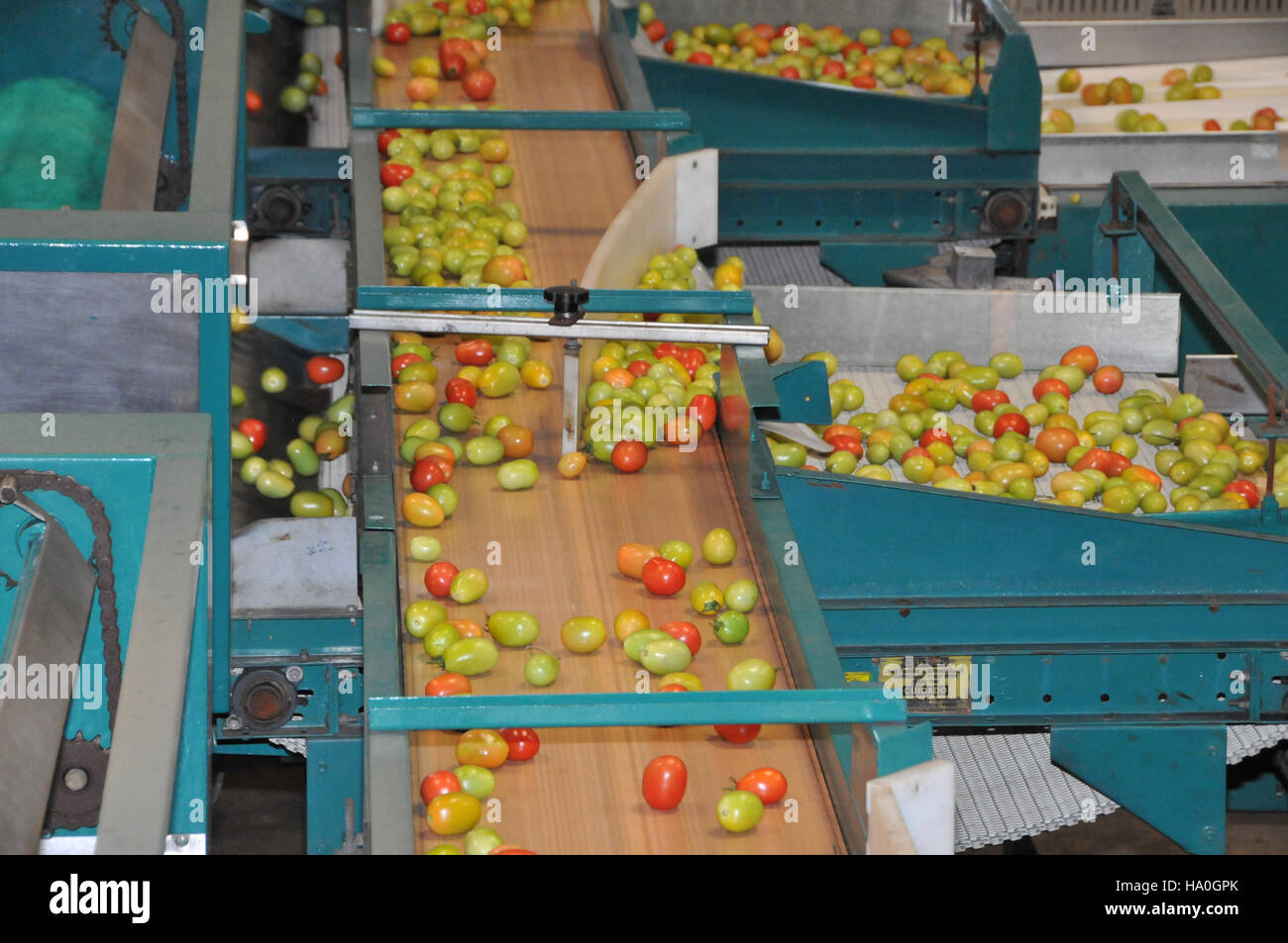 Packinghouse hi-res stock photography and images - Alamy