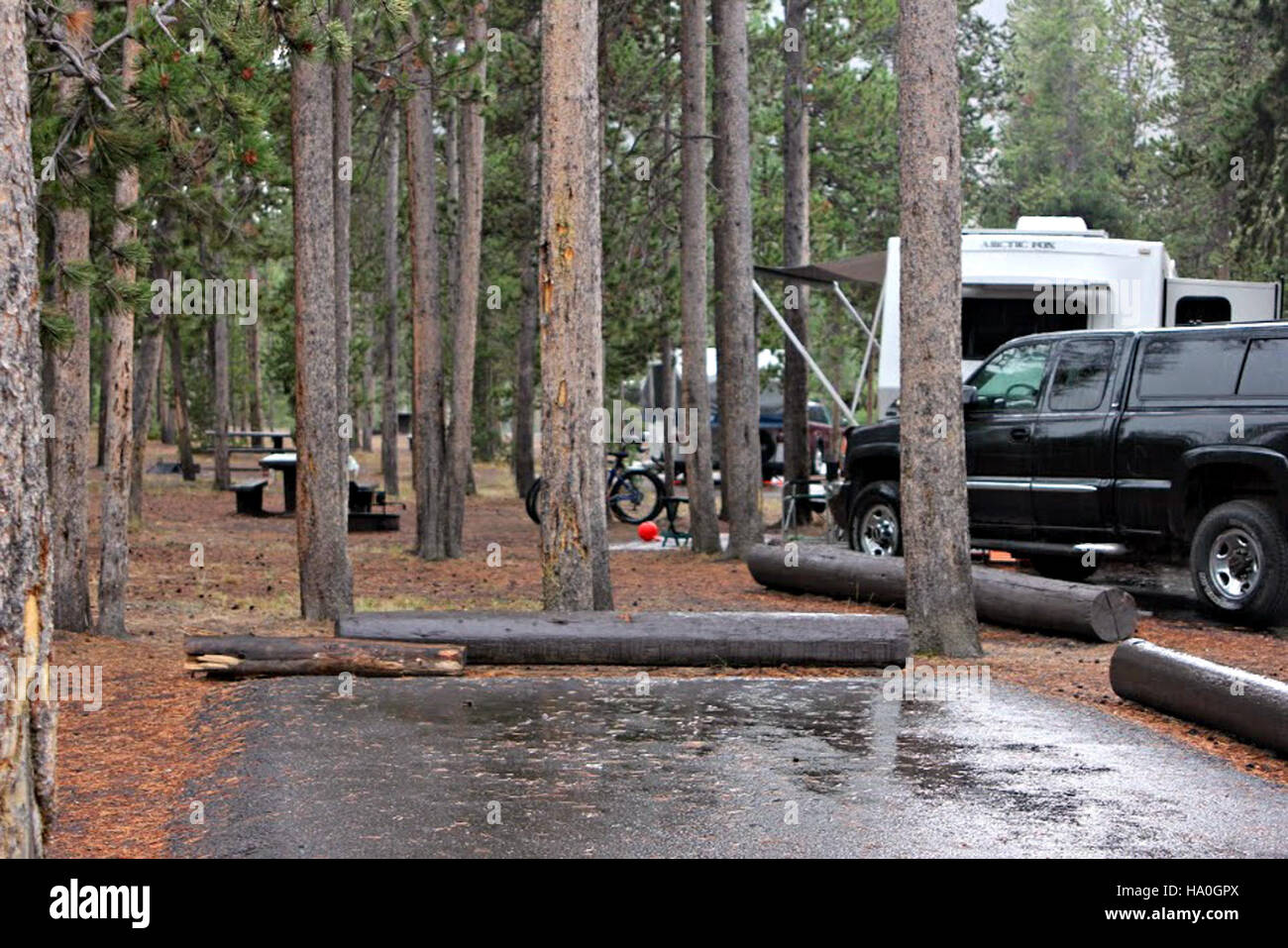 yellowstonenps 16684264536 Madison Campground Stock Photo - Alamy