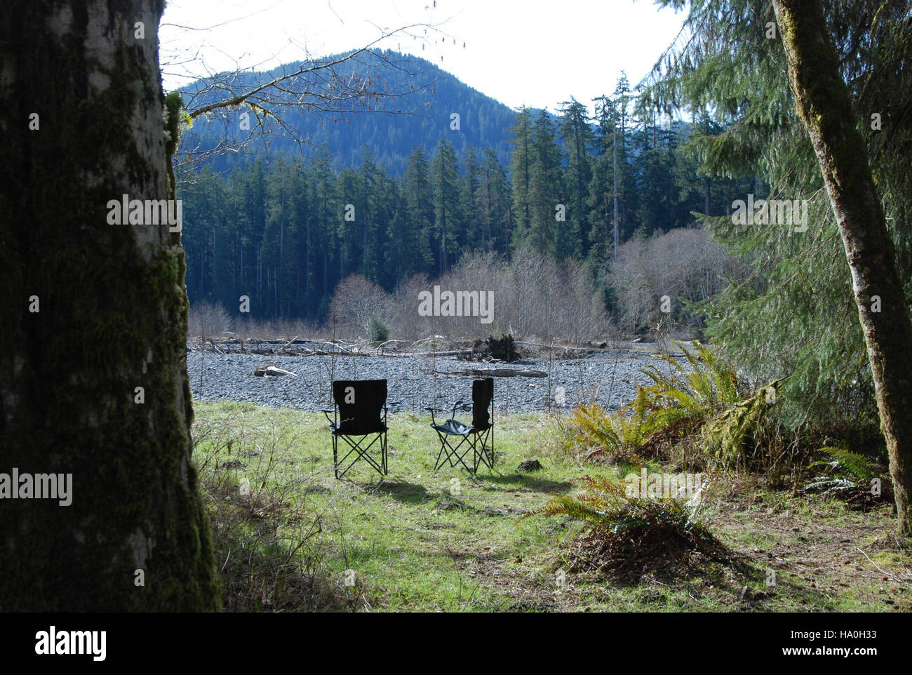 Camping chairs set up at Hoh Campground, Olympic National Park ...