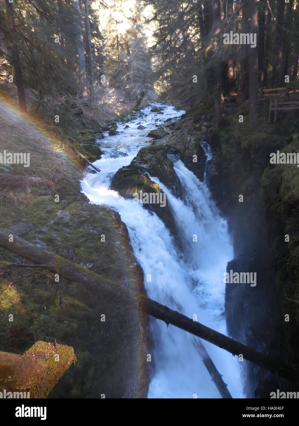 The Sol Duc Falls Trail in Olympic National Park offers a scenic route ...