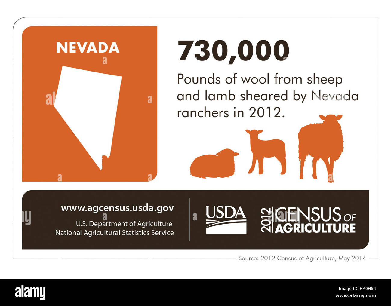 Nevada infographic hi-res stock photography and images - Alamy