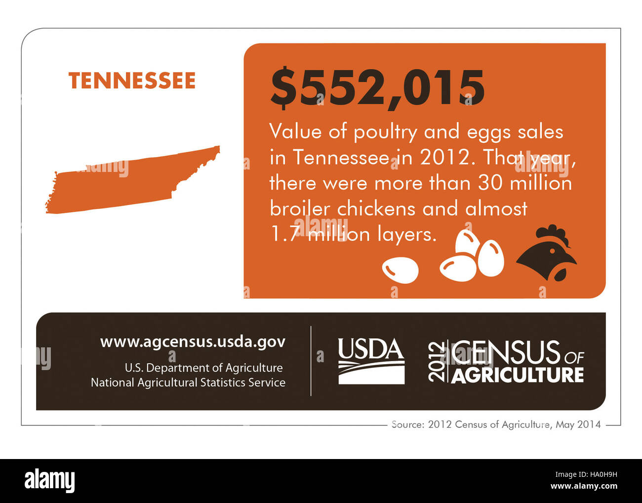 Tennessee infographic hi-res stock photography and images - Alamy