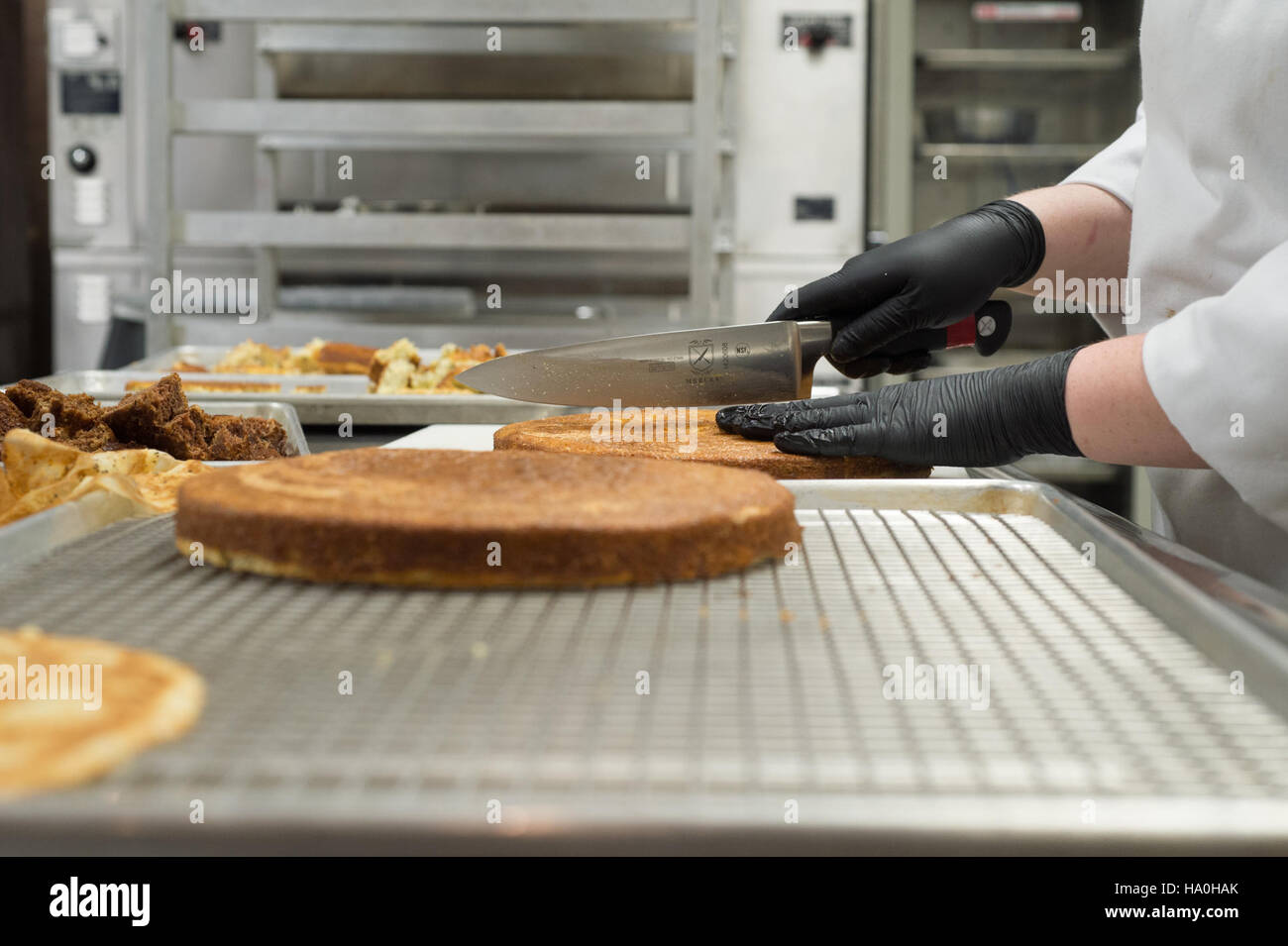 The Supplemental Nutrition Assistance Program (SNAP) is a key component ...