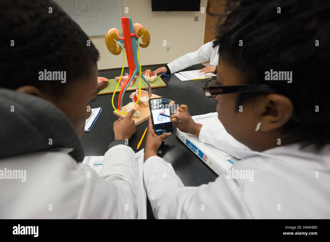 The USDA’s Supplemental Nutrition Assistance Program (SNAP) is a key ...