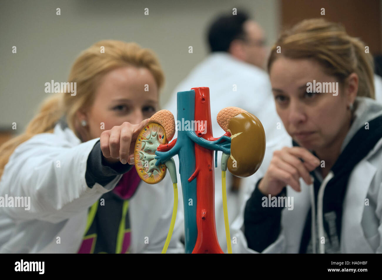 Supplemental nutrition assistance program hi-res stock photography and ...