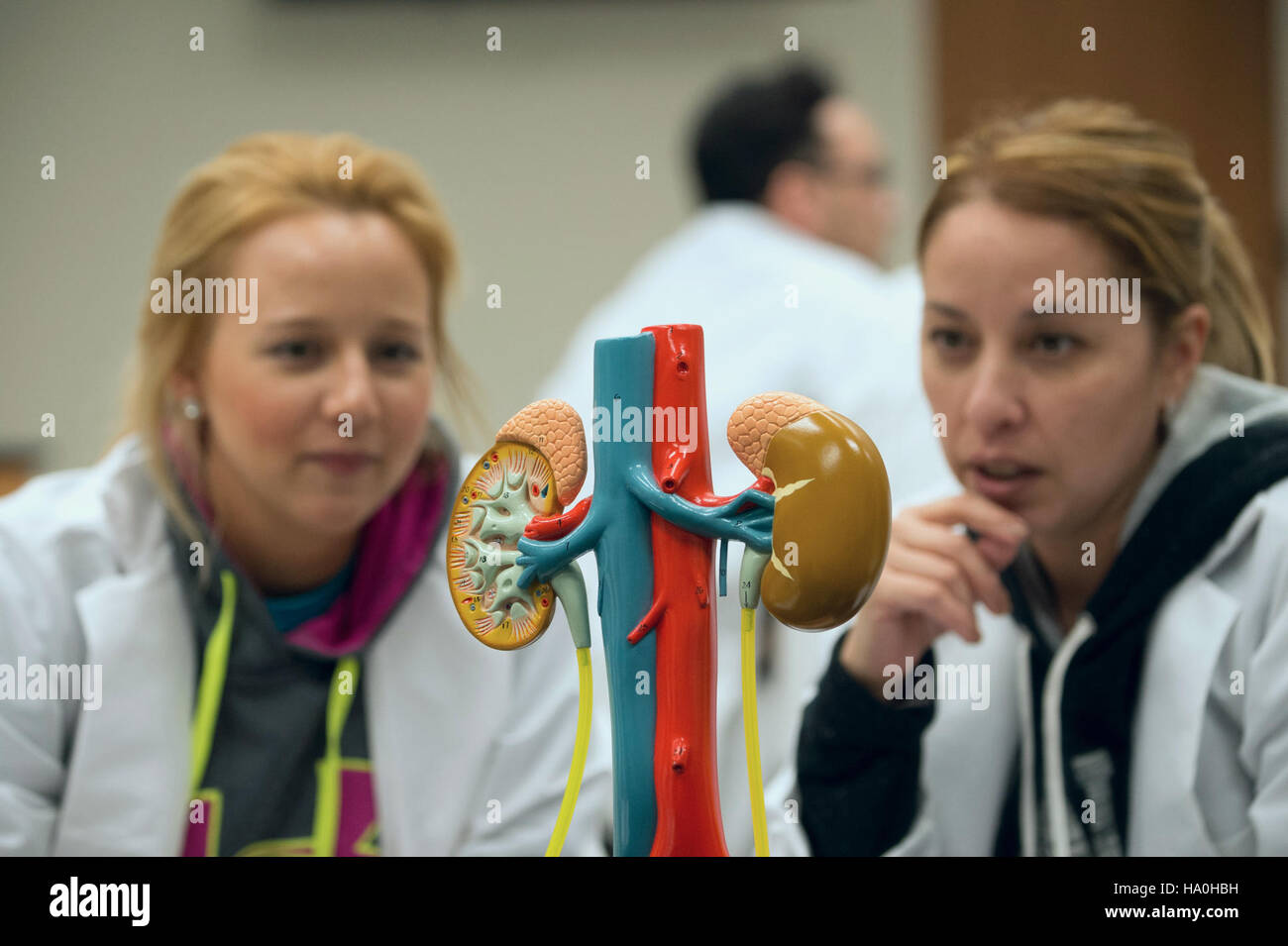 The USDA's Supplemental Nutrition Assistance Program (SNAP) is part of ...