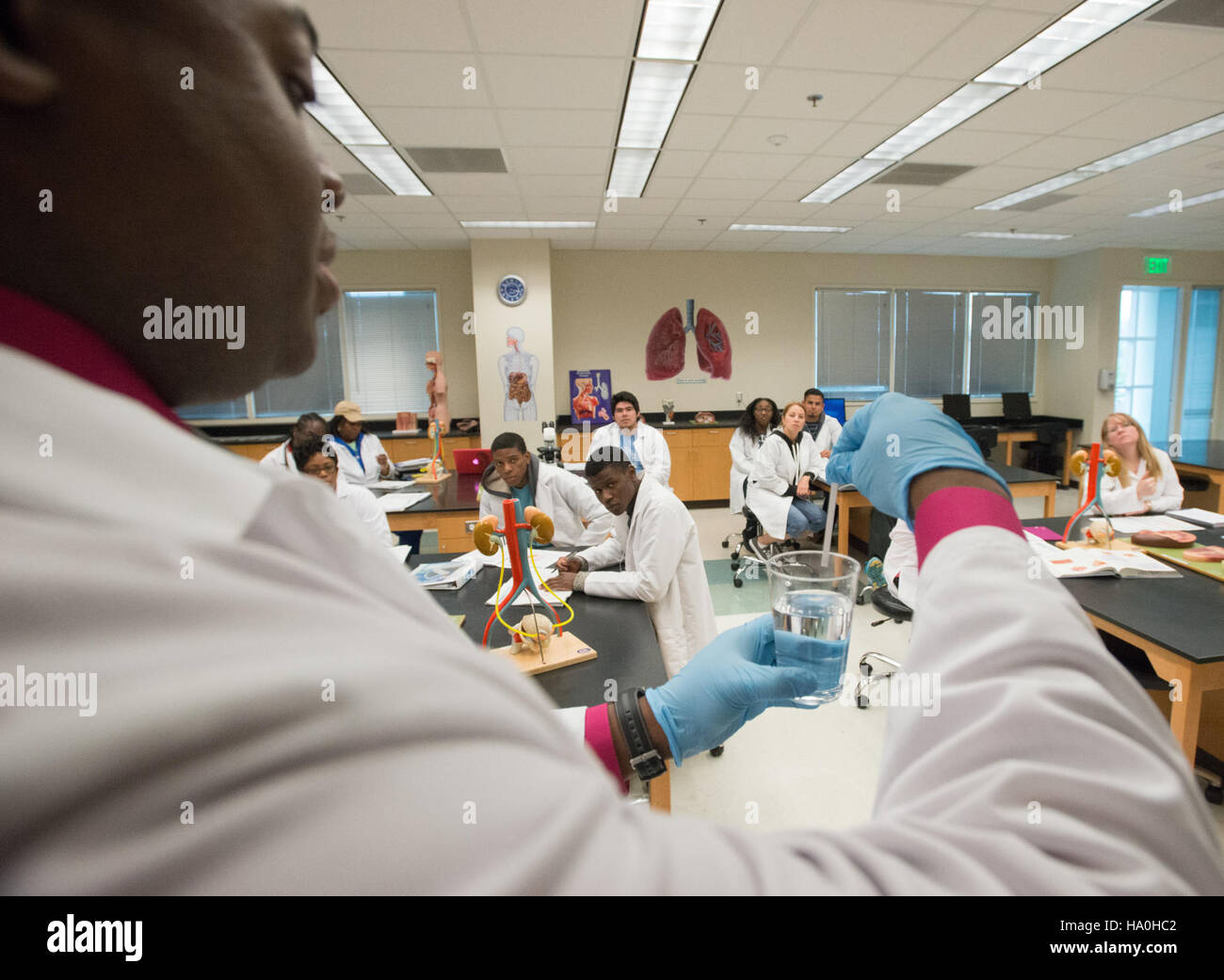 The USDA's Supplemental Nutrition Assistance Program (SNAP) and Farm ...