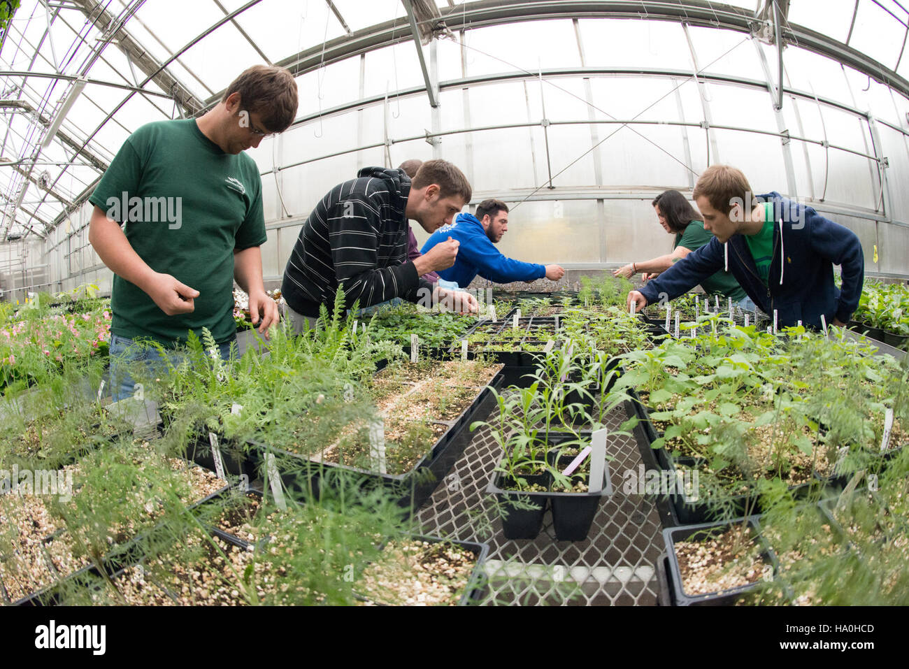 The USDA’s Supplemental Nutrition Assistance Program (SNAP) is part of ...