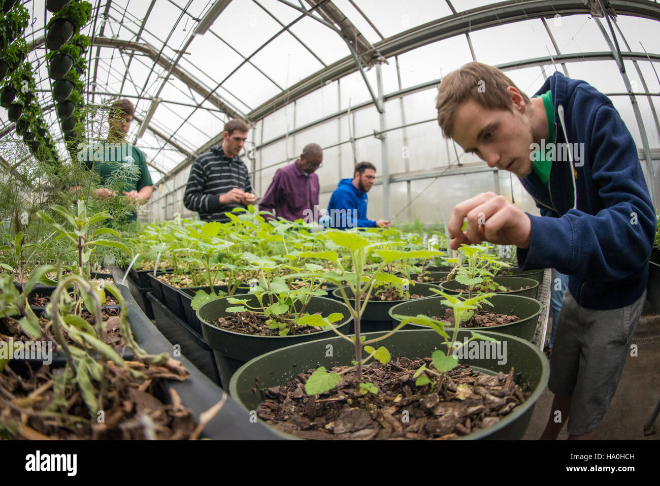 This USDA photo highlights the role of the Supplemental Nutrition ...