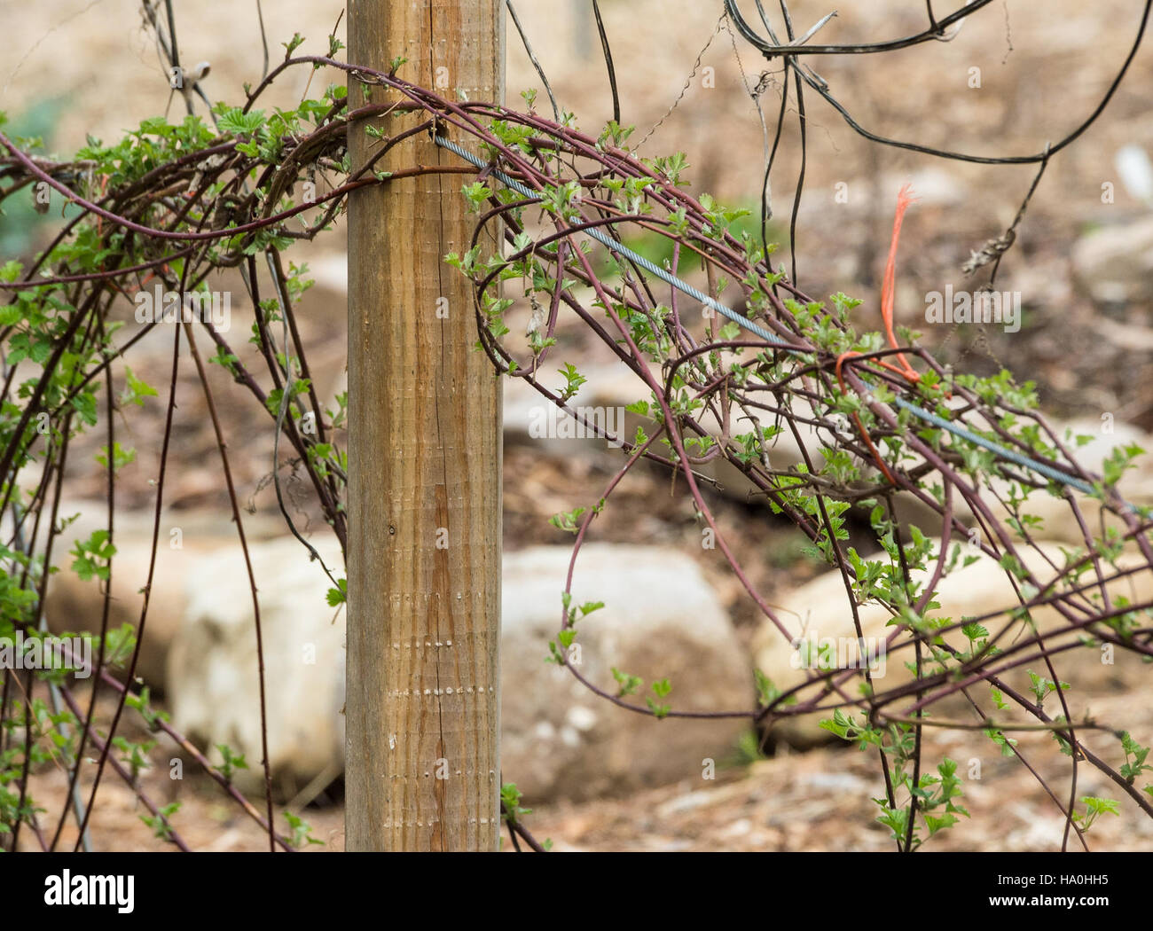 The USDA promotes sustainable agriculture through programs like SNAP ...