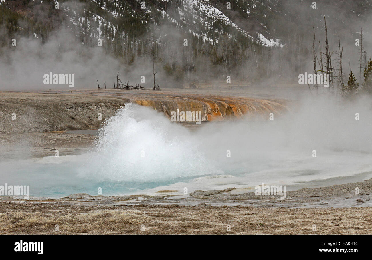yellowstonenps 17026948778 Spouter Geyser Stock Photo - Alamy