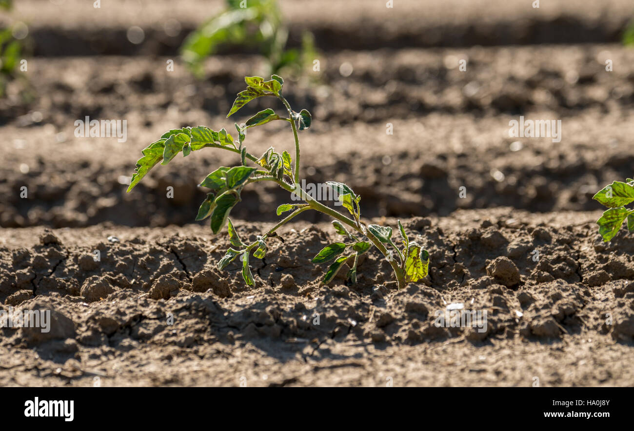 The EQIP program by the USDA supports sustainable farming practices ...