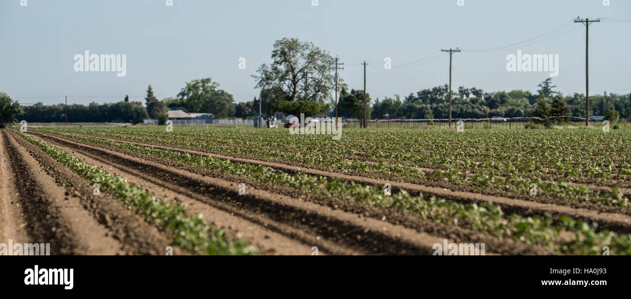 Joe Muller and Sons implement the Environmental Quality Incentives ...