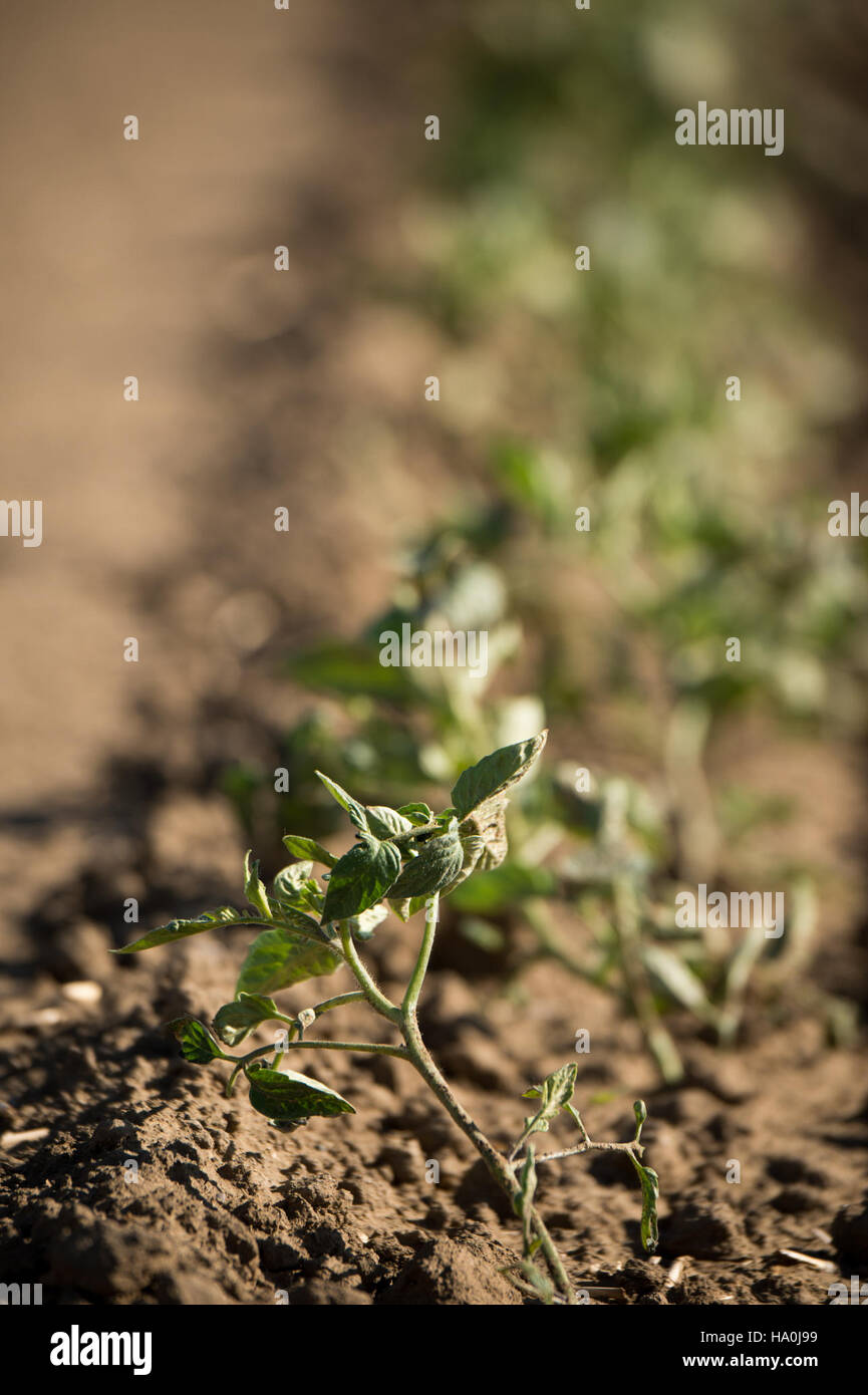 The USDA’s EQIP program supports sustainable farming practices at ...