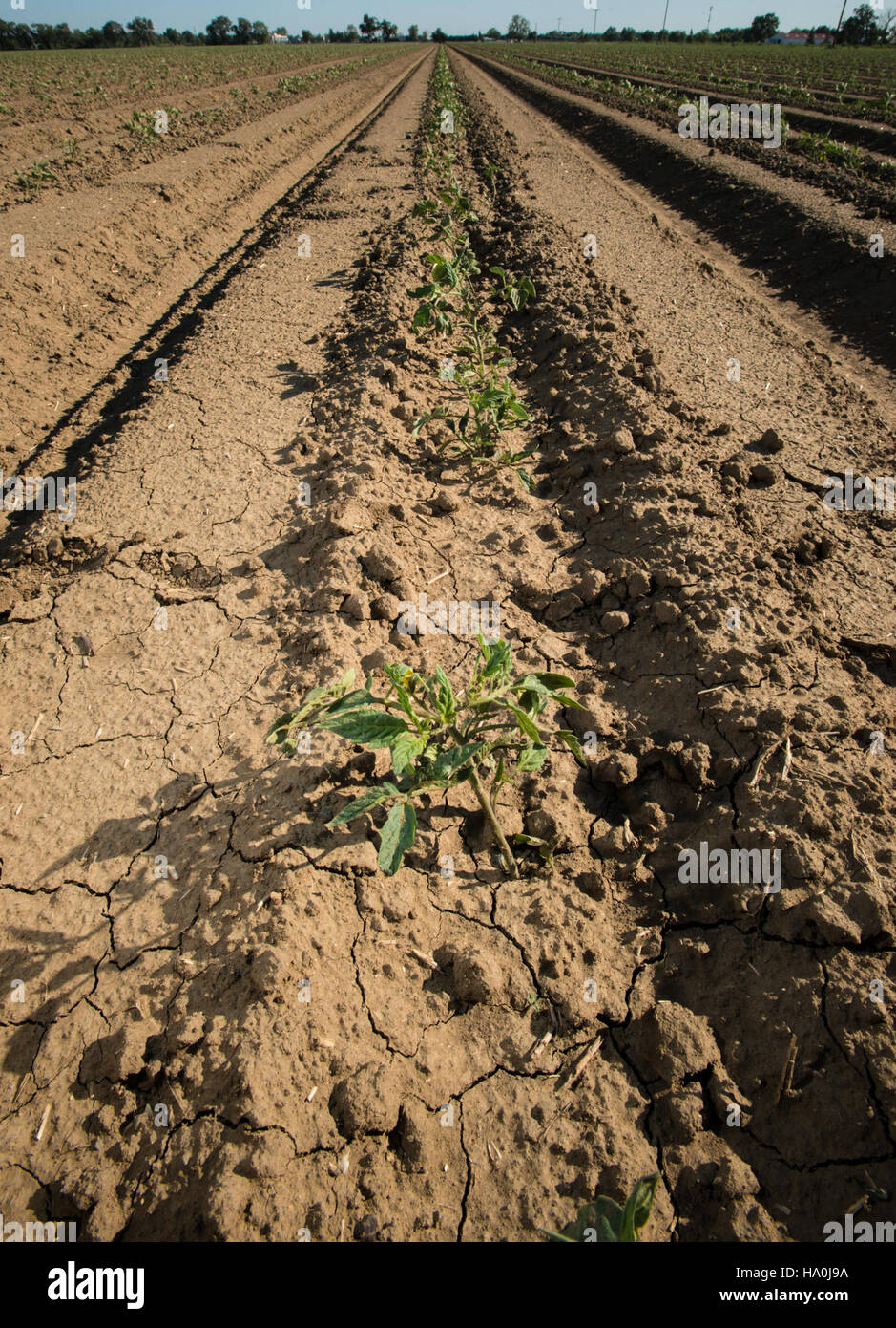 The NRCS Environmental Quality Incentives Program (EQIP) supports ...