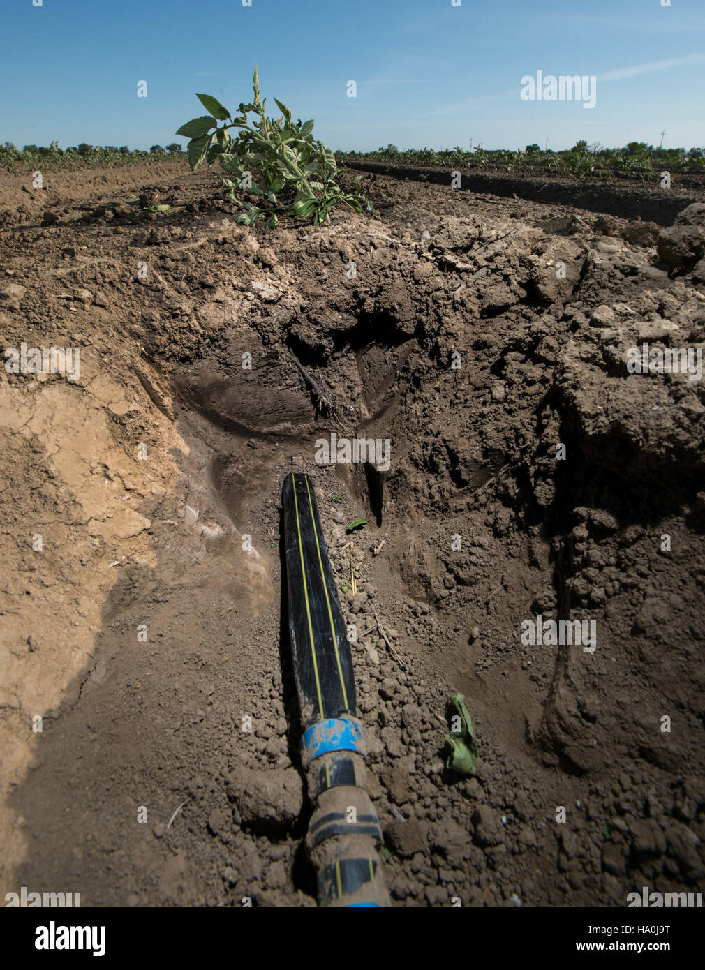 The EQIP program, facilitated by the USDA's Natural Resources ...