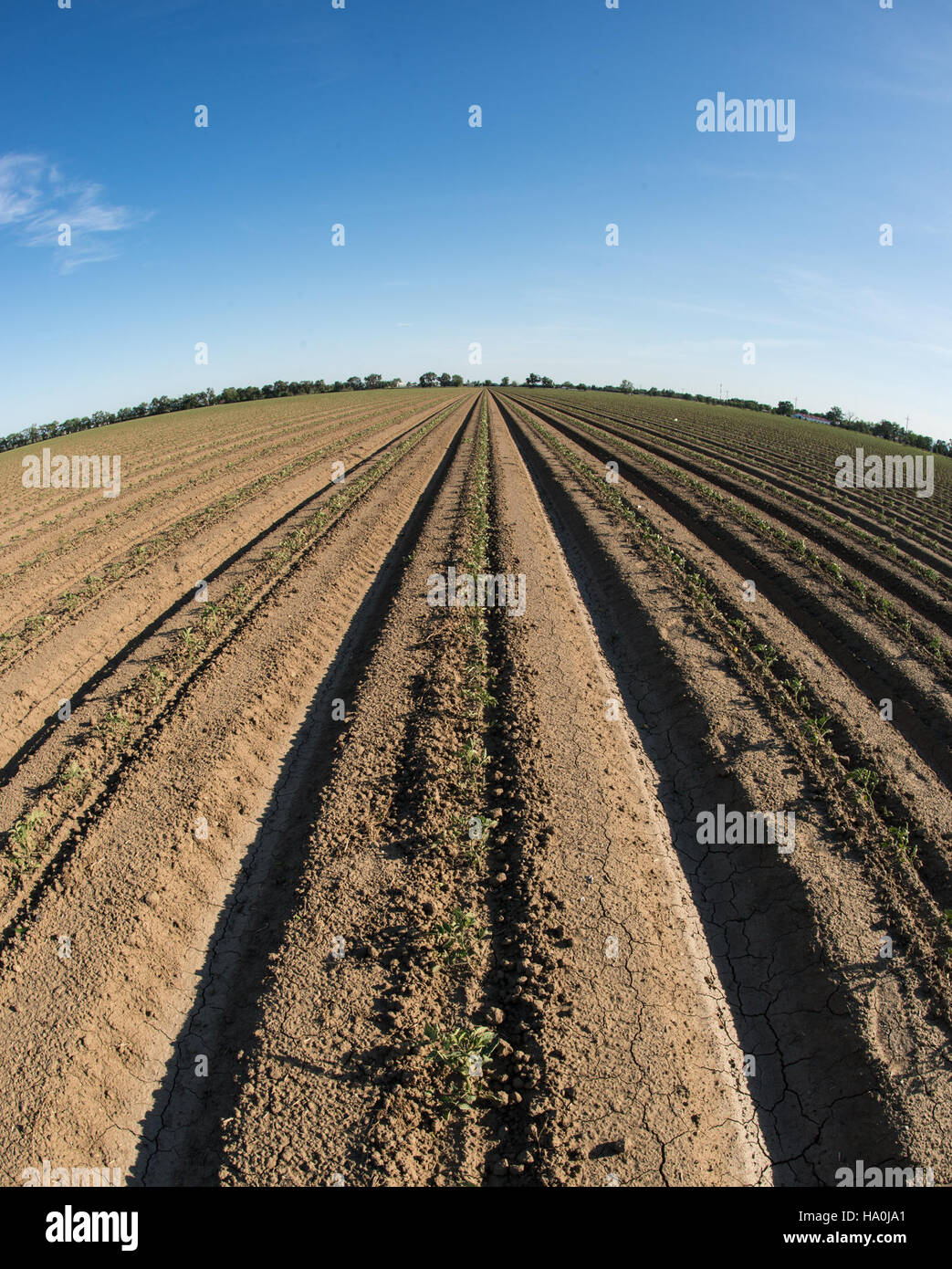 The Environmental Quality Incentives Program (EQIP) by the USDA ...