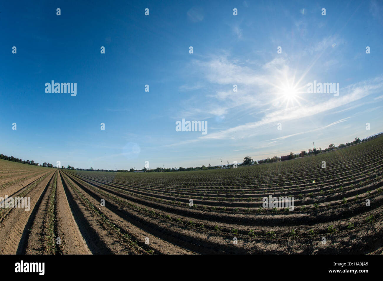 The EQIP (Environmental Quality Incentives Program) by the USDA ...