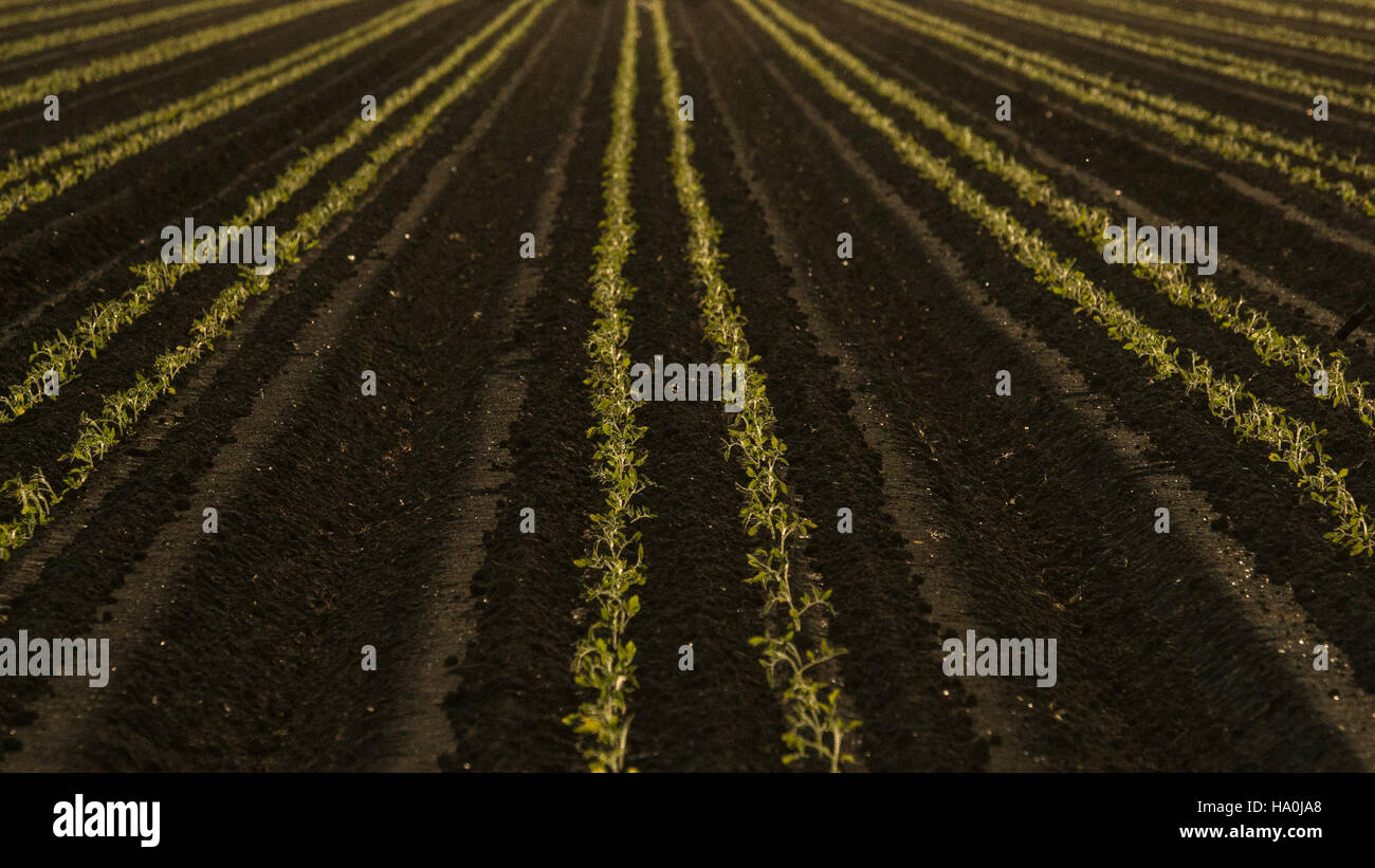 The Environmental Quality Incentives Program (EQIP) by the USDA ...