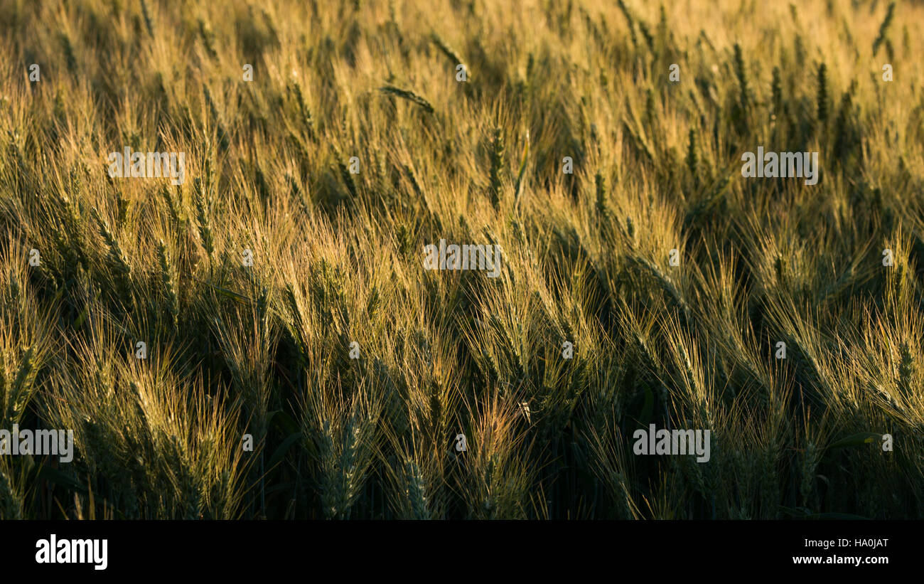 This image highlights efforts by the USDA's Natural Resources ...