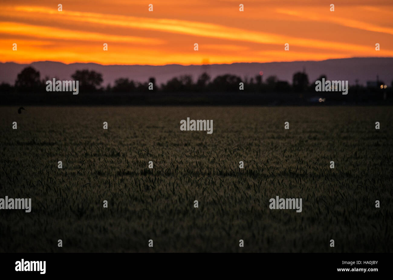 The USDA's Natural Resources Conservation Service (NRCS) focuses on ...