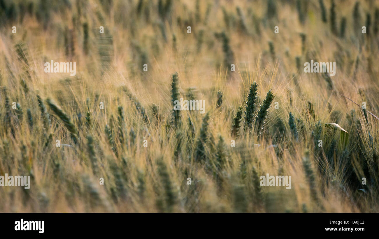 The USDA's Natural Resources Conservation Service focuses on enhancing ...