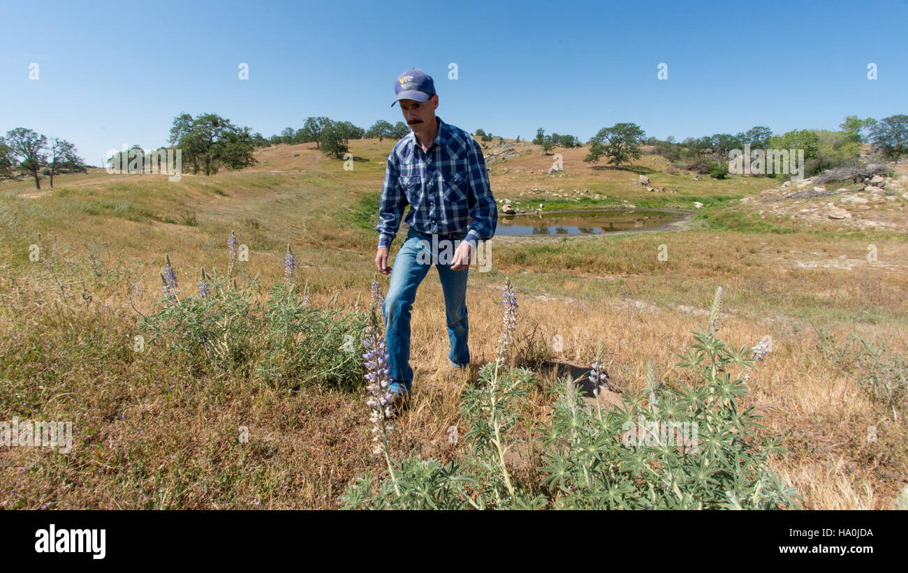 In California, the USDA's drought program supports farmers with water ...