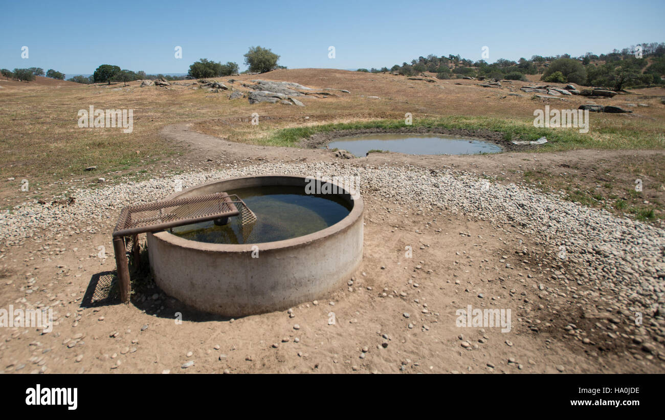 The USDA and California Department of Agriculture partnered on the O ...