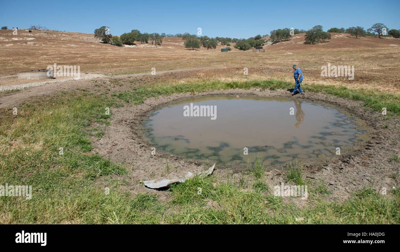 The California Department of Agriculture implemented water conservation ...